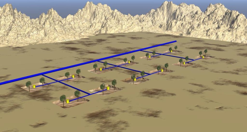 Desert Irrigation Methods Mulched Drip Irrigation: A Promising